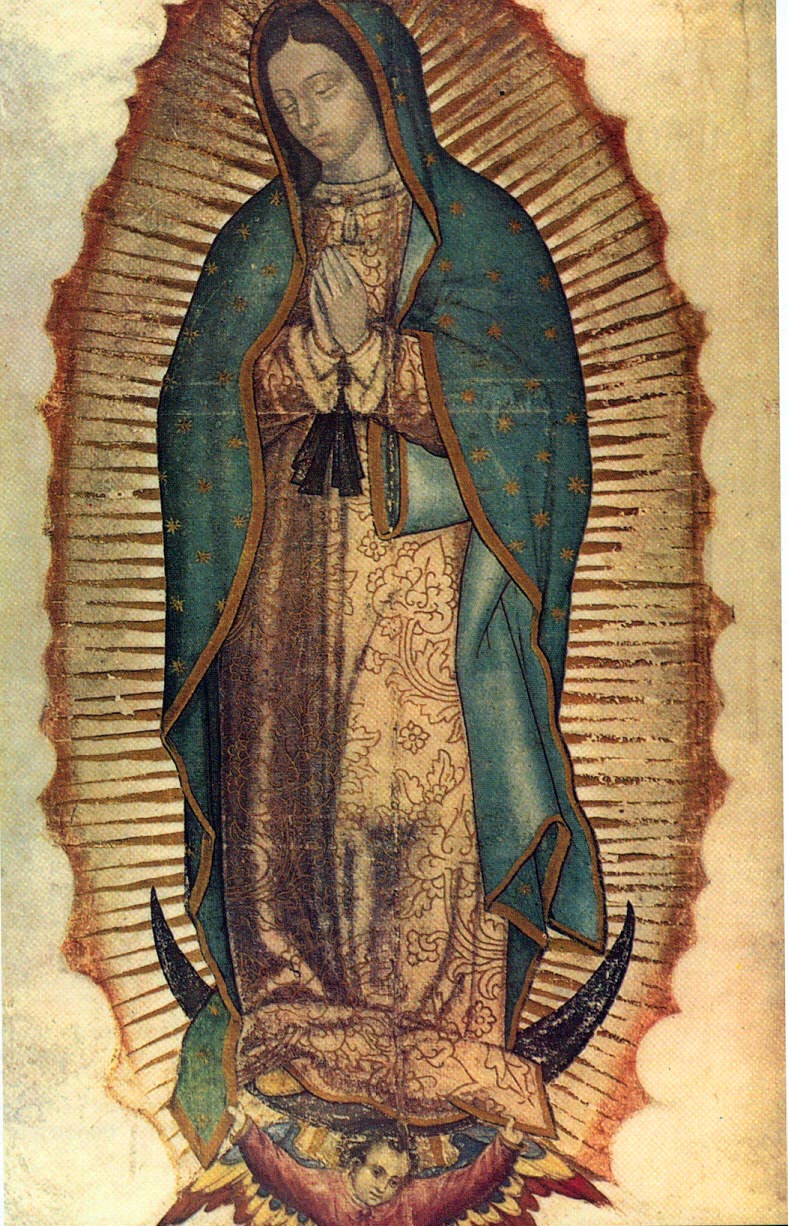 Rediscovering Our Lady of Guadalupe – Taryn DeLong